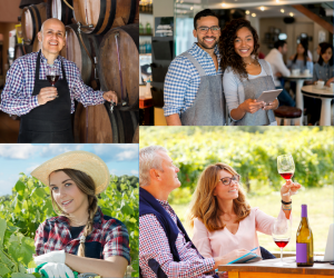 Vineyard Tech Vetting Guide